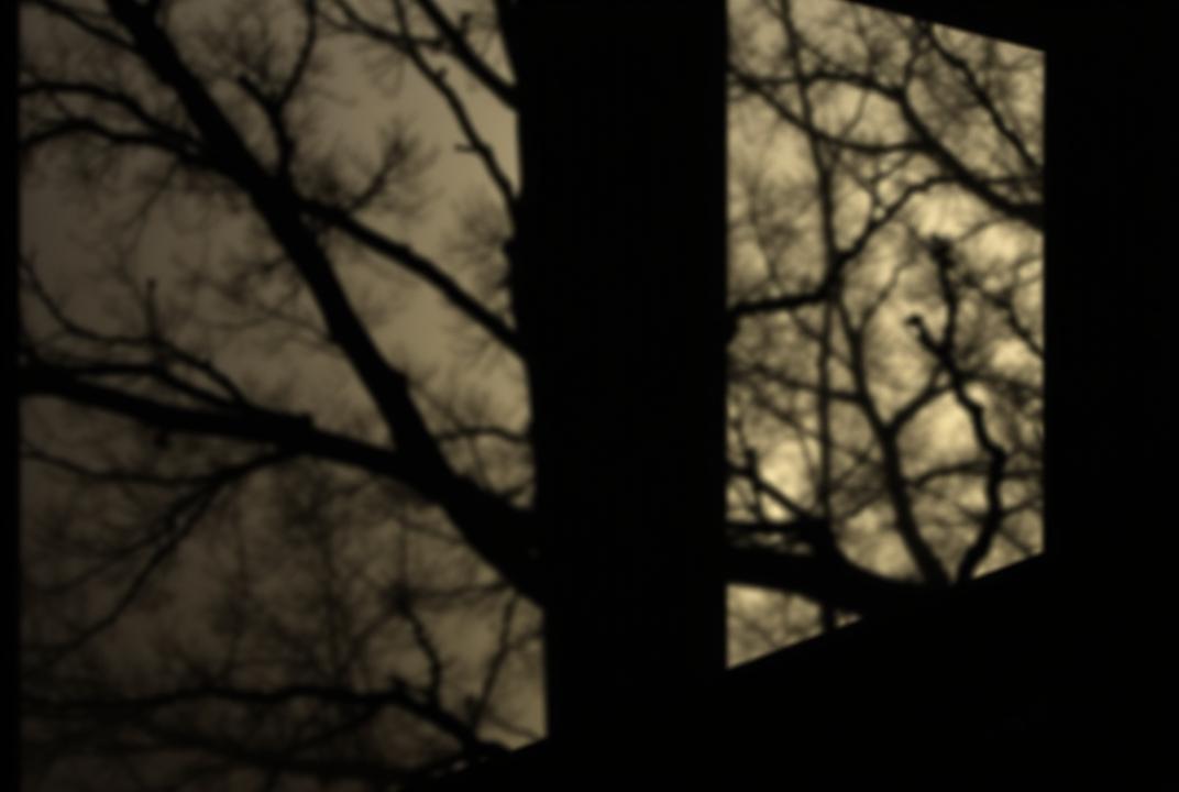 . Surreal Shadows:An image with a dreamlike and surreal qual... - Flux ...
